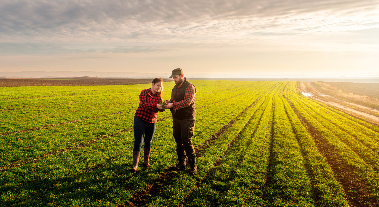 Howy – Negocios inteligentes